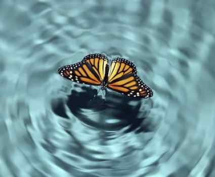 Escape to Freedom – The Monroe Institute