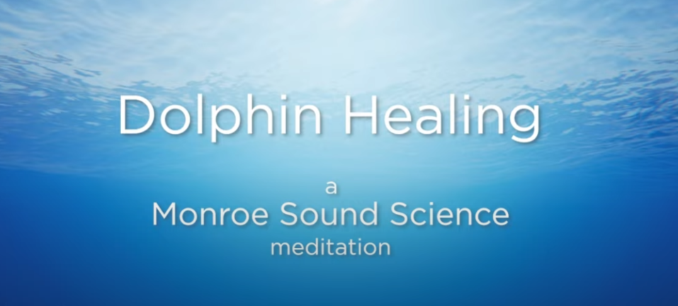 Dolphin Healing – The Monroe Institute