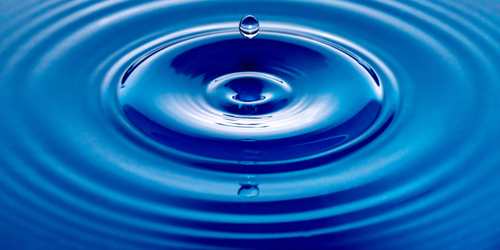 Creating a Kindness Revolution for Bob Monroe’s Birthday – The Monroe ...