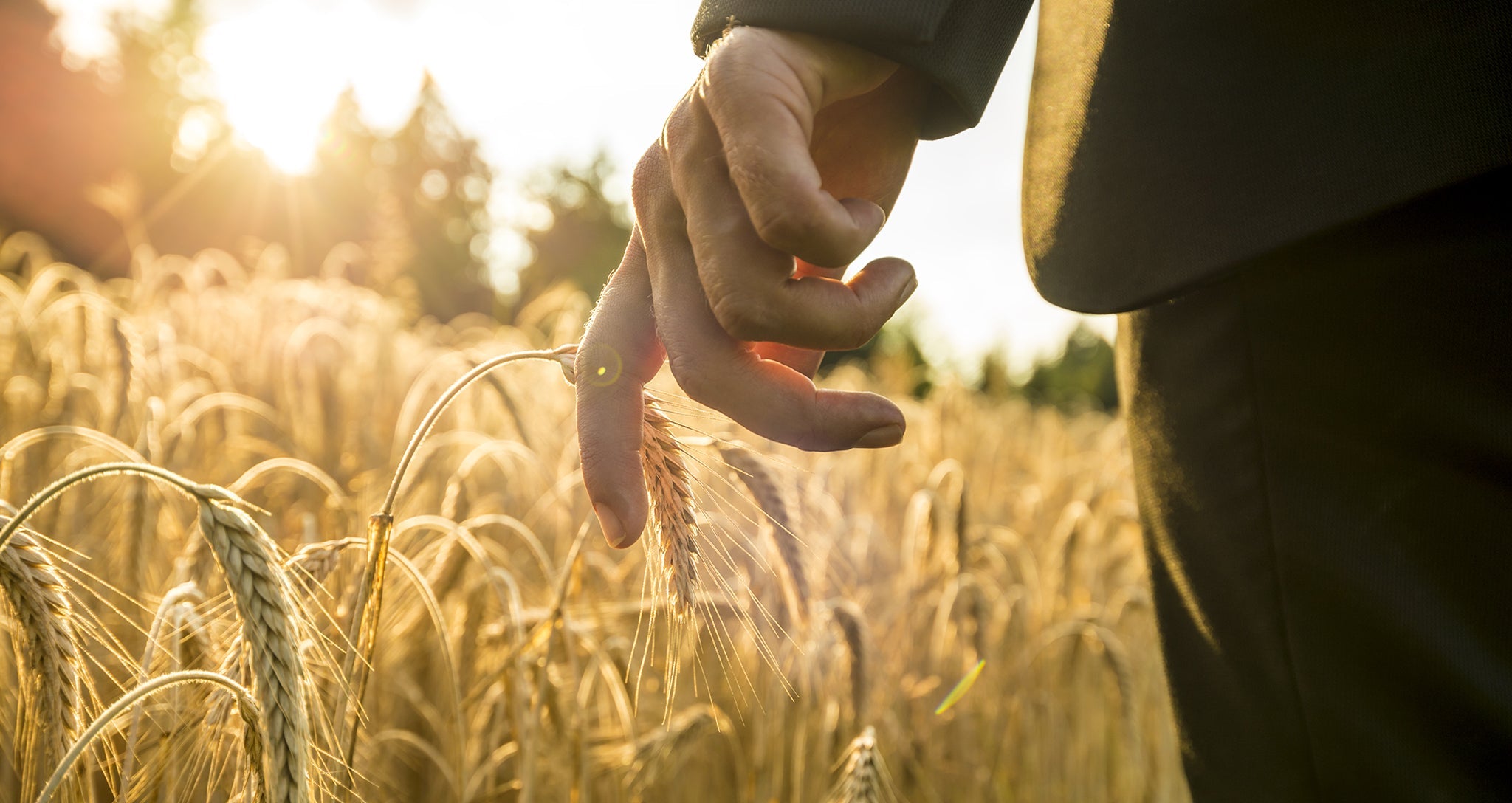 Experiential Expanded Consciousness Meditation Programs and Research – The Monroe Institute